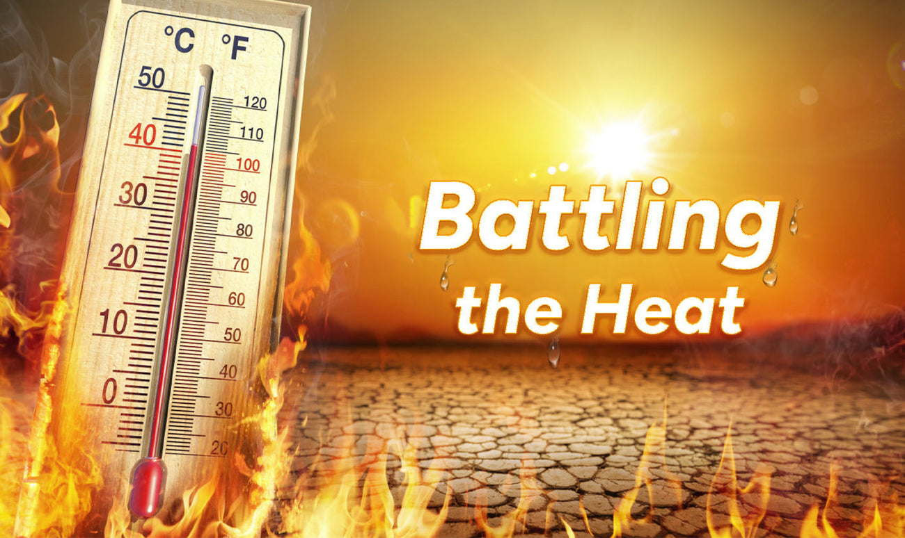 Emergency Cooling Tips: Beat Indoor Heatwaves with Portable ACs & Fans